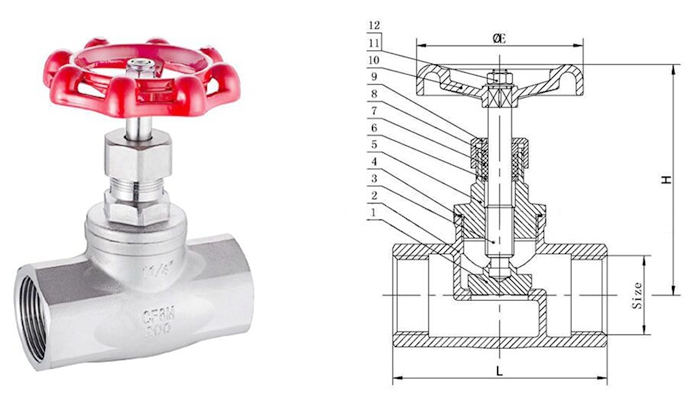 CF8 CF8M Threaded Globe Valve BSPT NPT PN16- China Threaded Globe Valve Manufacturer